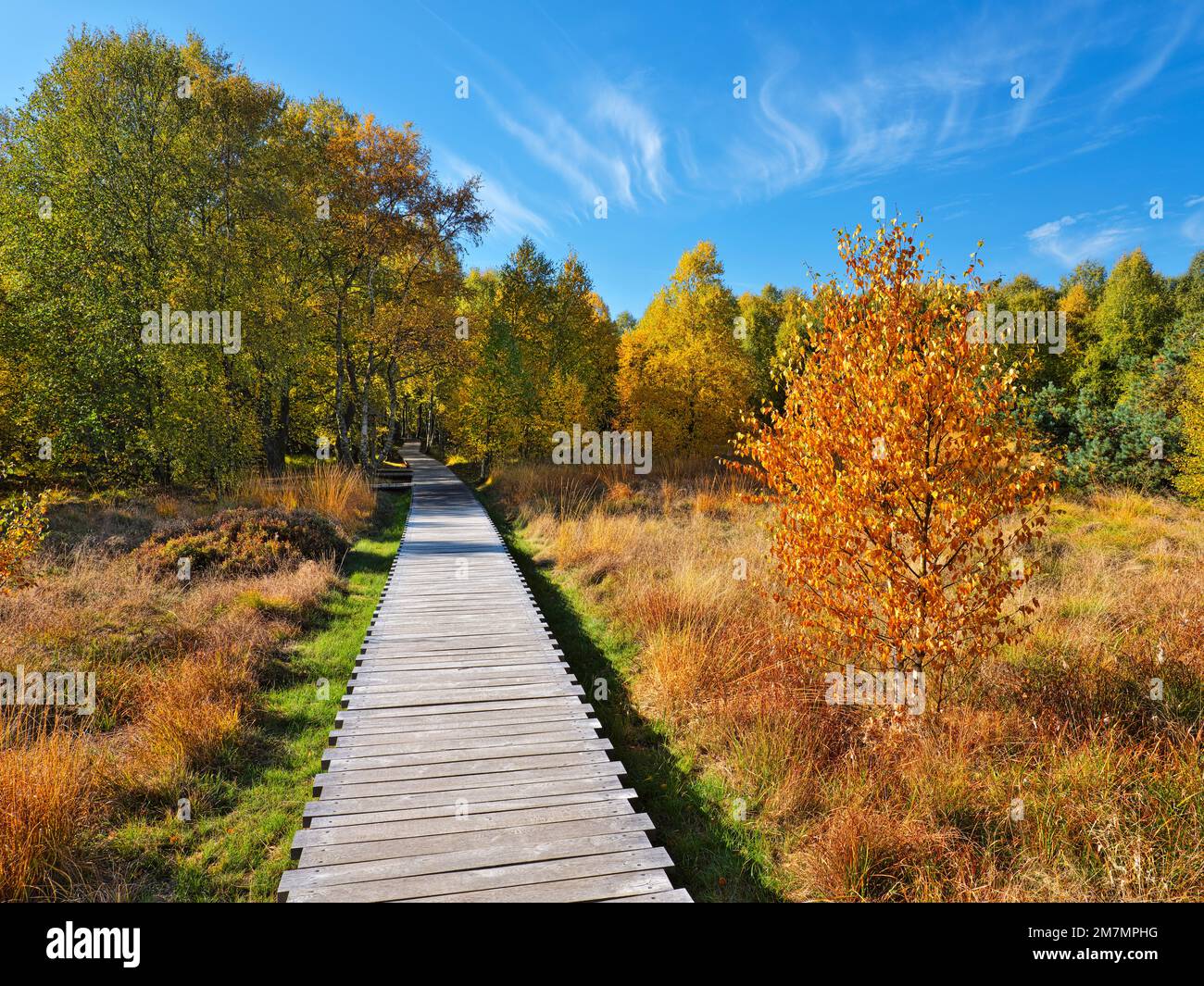 Europe, Germany, Bavaria, Bavarian Rhön Biosphere Reserve, Fladungen ...