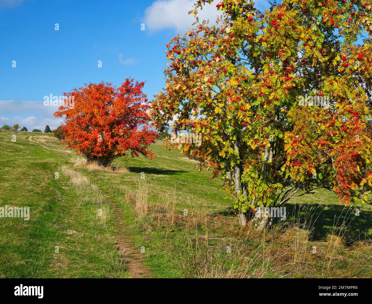 Europe, Germany, Bavaria, Biosphere Reserve Bavarian Rhön, Fladungen ...
