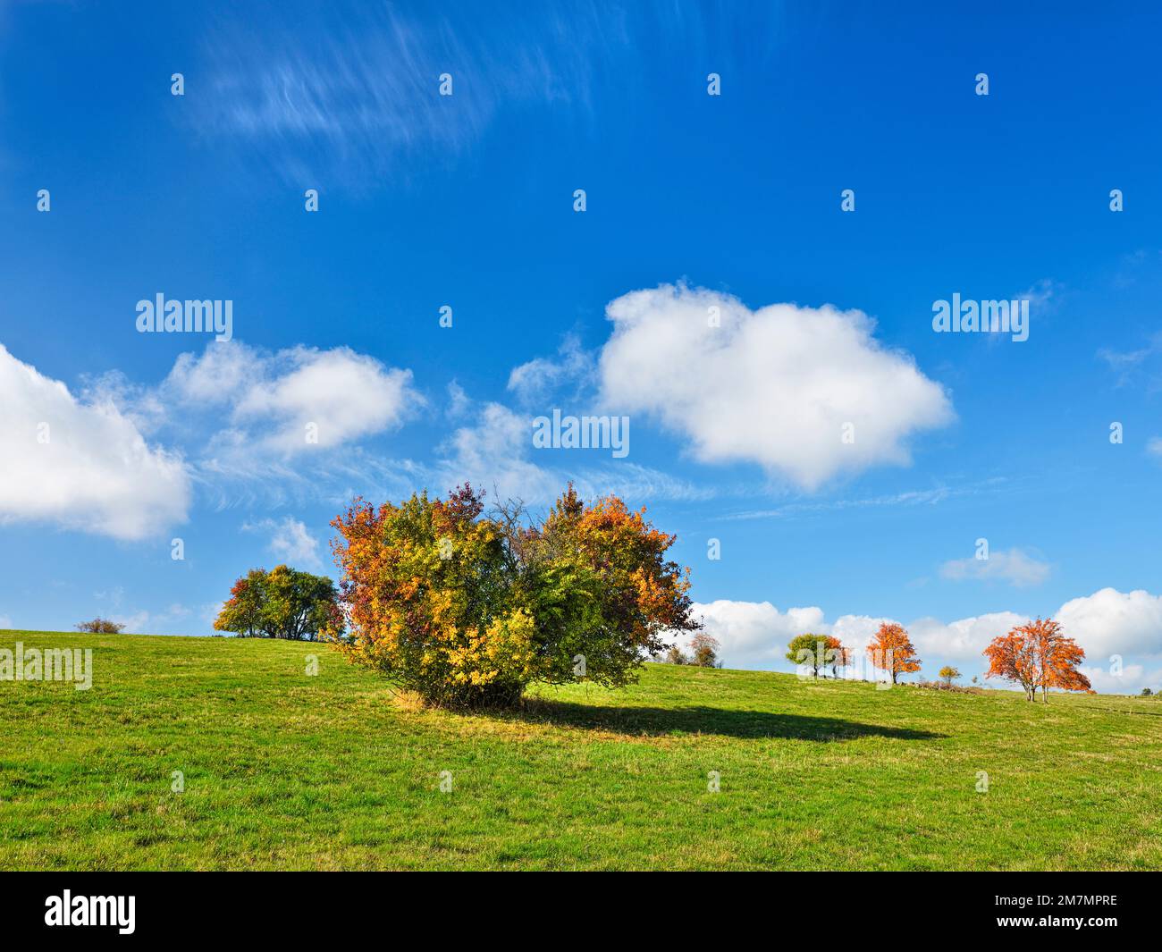 Europe, Germany, Bavaria, Biosphere Reserve Bavarian Rhön, Fladungen ...