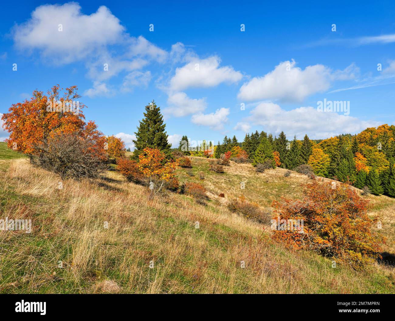 Europe, Germany, Bavaria, Biosphere Reserve Bavarian Rhön, Fladungen ...