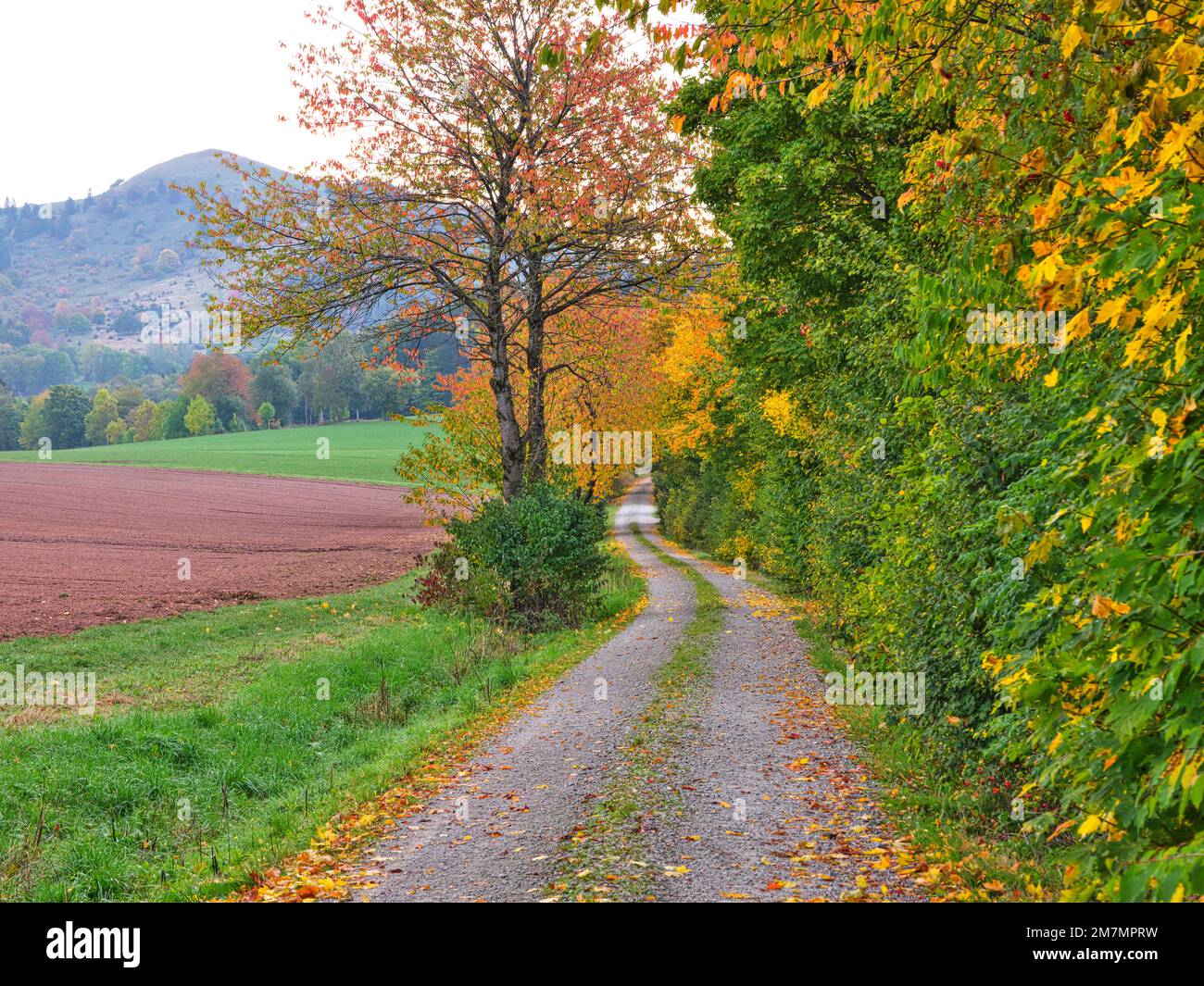Hessian rhon biosphere reserve hi-res stock photography and images - Alamy