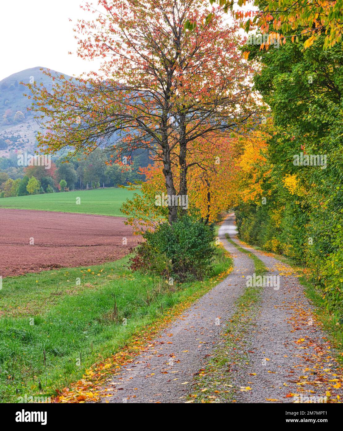 Hessian rhon biosphere reserve hi-res stock photography and images - Alamy