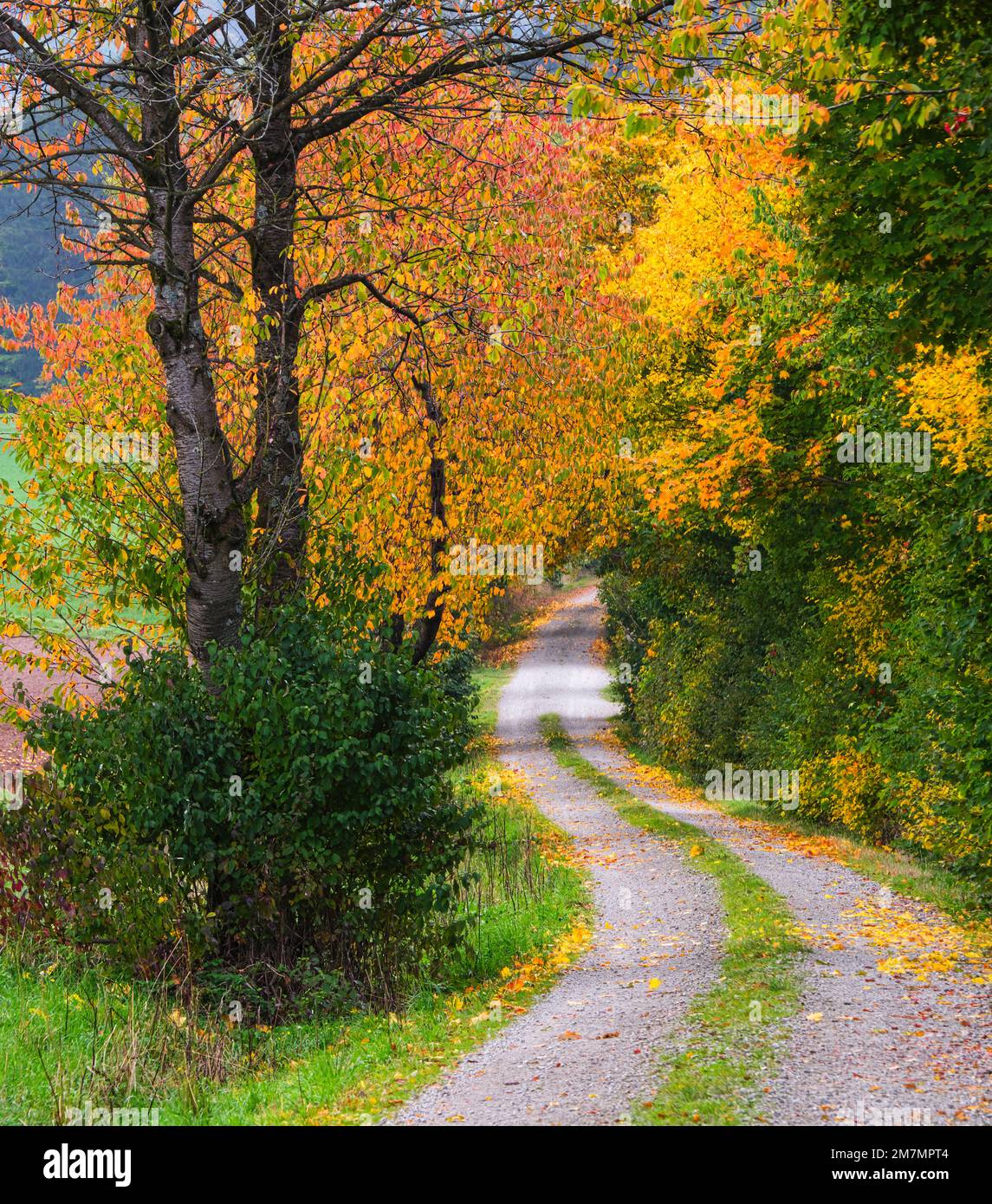 Europe, Germany, Hesse, Hessian Rhön Biosphere Reserve, Poppenhausen ...