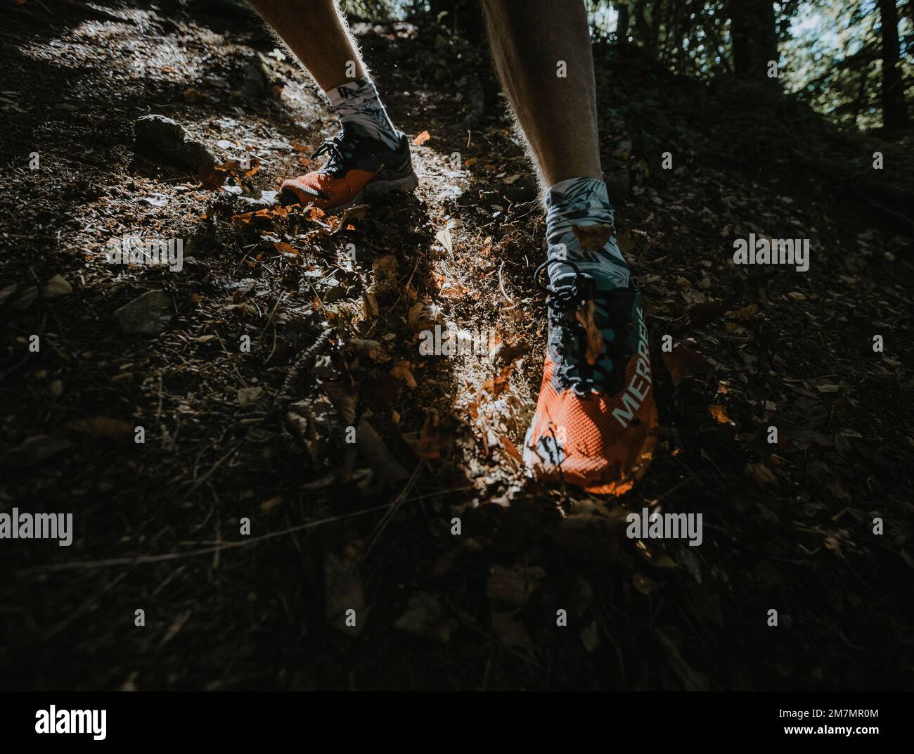Runner, Detail, Legs, Forest floor Stock Photo - Alamy