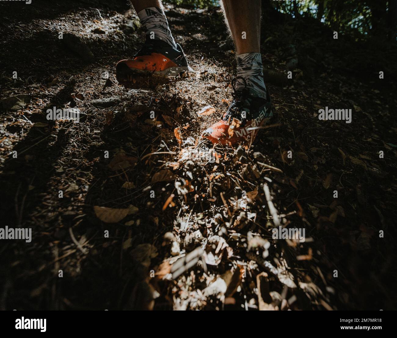 Runner, Detail, Legs, Forest floor Stock Photo - Alamy