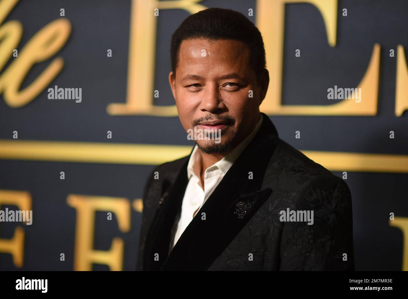 Terrence Howard arrives at the premiere of "The Best Man: The Final ...