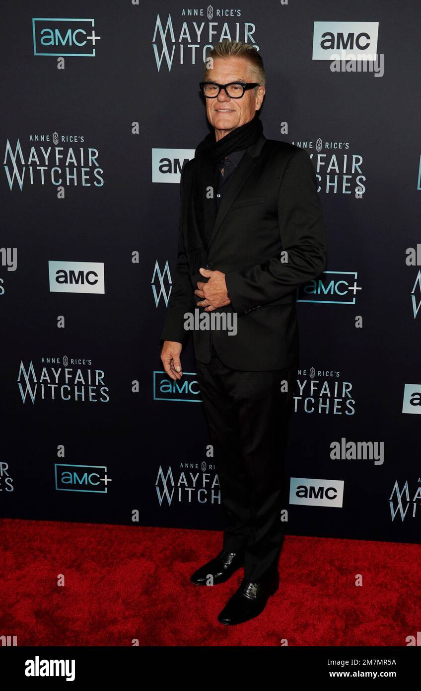 Harry Hamlin, a cast member in "Anne Rice's Mayfair Witches," poses at ...