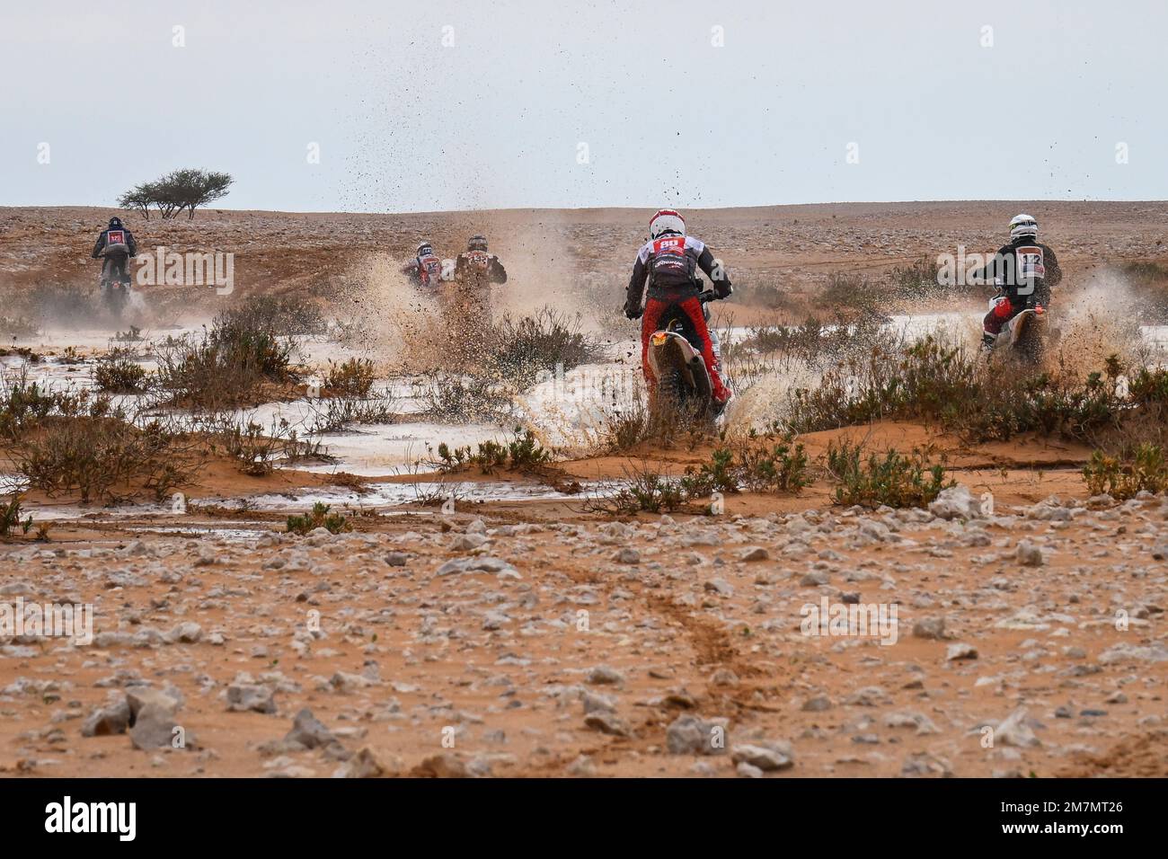 80 MARTYN HILLIER James (gar), Rich Energy OMG Racing Ltd, GasGas, Moto ...