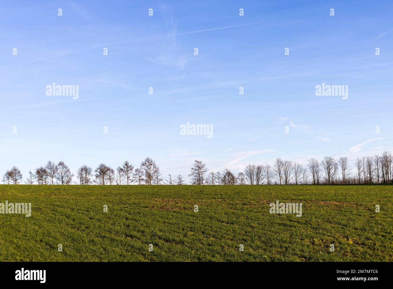 Sparse trees hi-res stock photography and images - Alamy