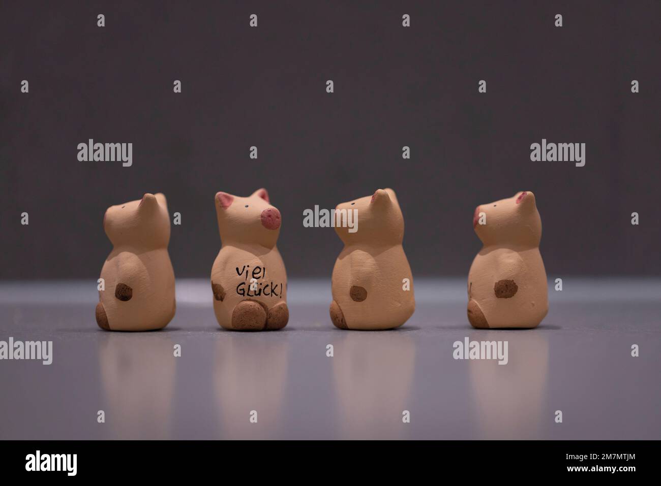 Four lucky pigs in a row Stock Photo - Alamy
