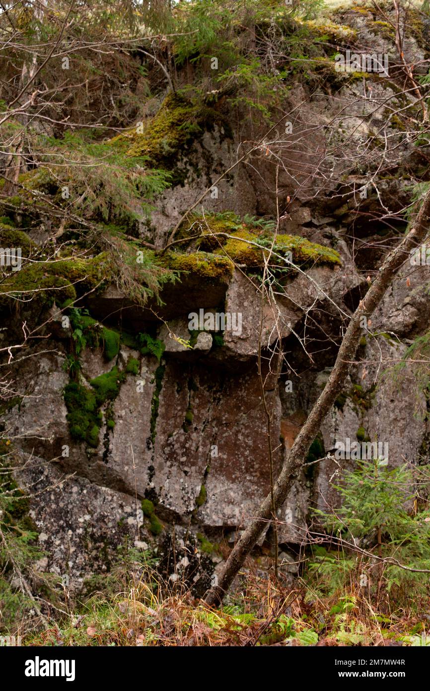 Great wall of rock, forest landscape, Finland Stock Photo - Alamy