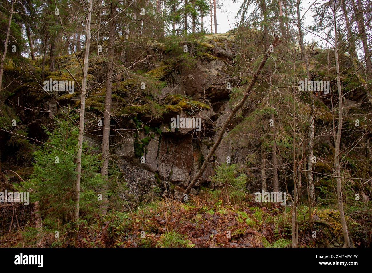 Big rock wall, forest landscape, Finland Stock Photo - Alamy