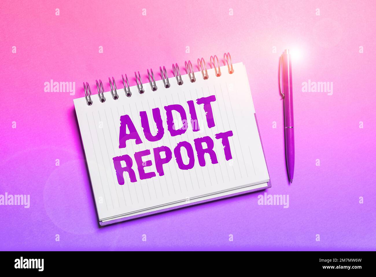 Sign displaying Audit Report, Concept meaning An appraisal of complete ...