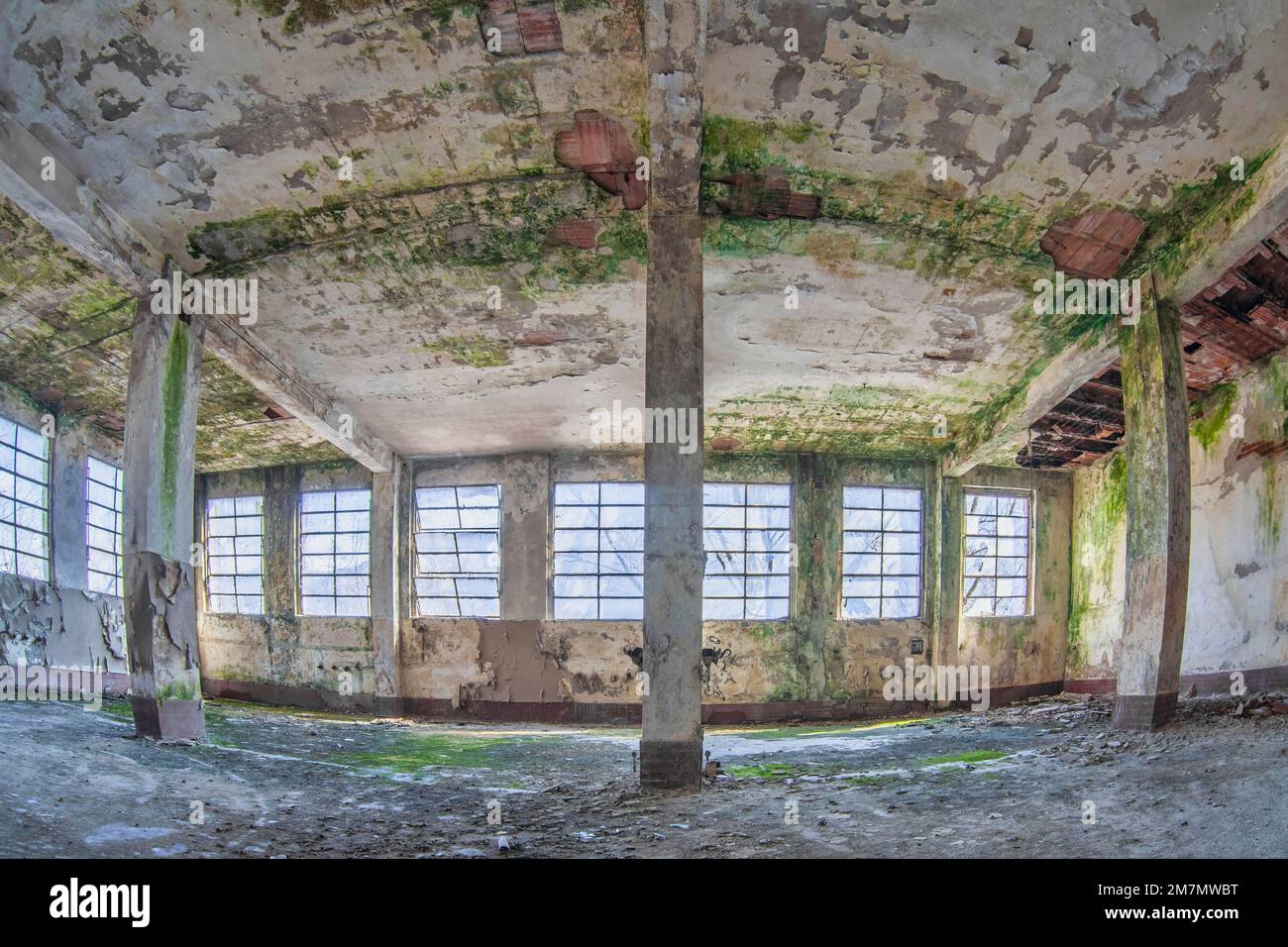 Italy, Veneto, old abandoned warehouse, decaying industrial building ...