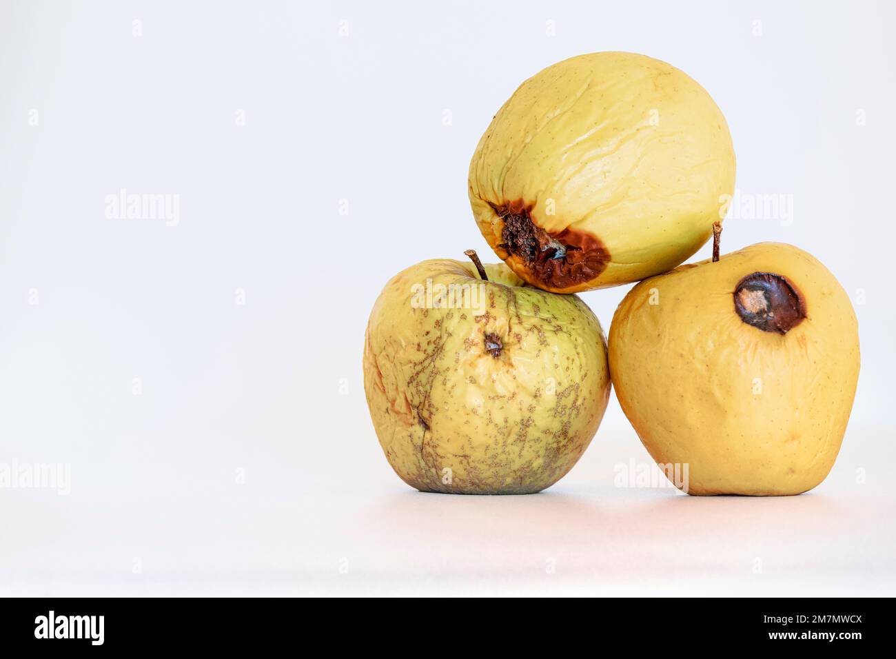 Spoiled, dehydrated and rotten apples, fruit isolated on white ...