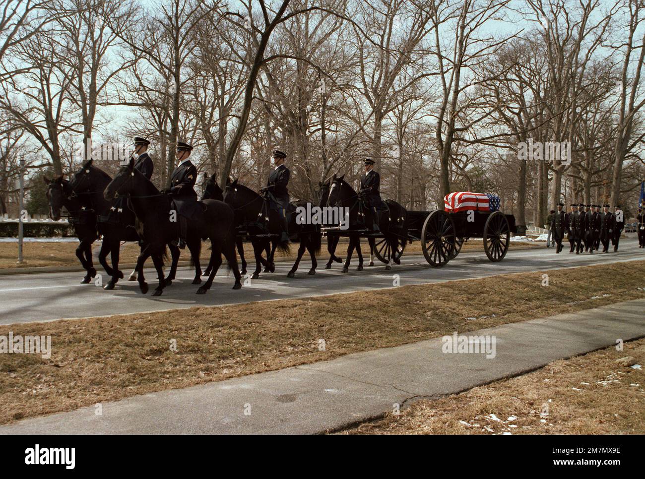 Honor Guard horse casket carriers lead the procession at Arlington ...