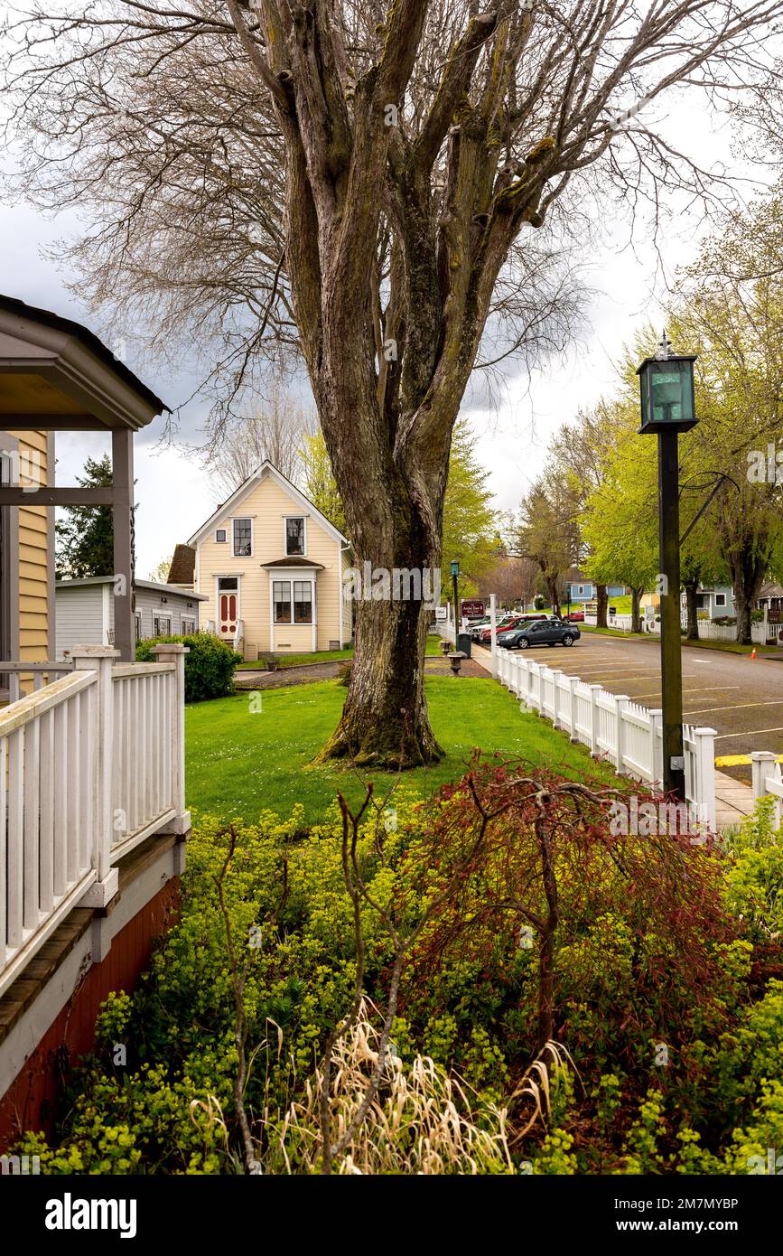 A vertical shot of a neighborhood of typical small northwest suburb in ...
