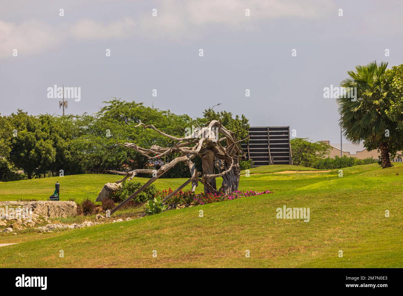 Gorgeous view of design with dried old tree trunk on golf course with ...