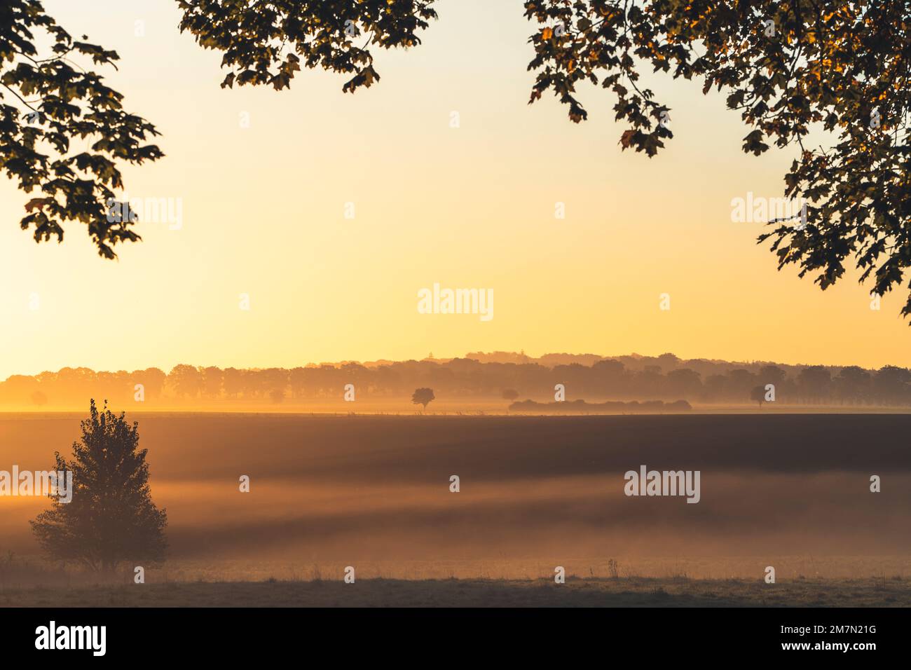 Atmospheric sunrise in the district of Kassel, ground fog, view over ...