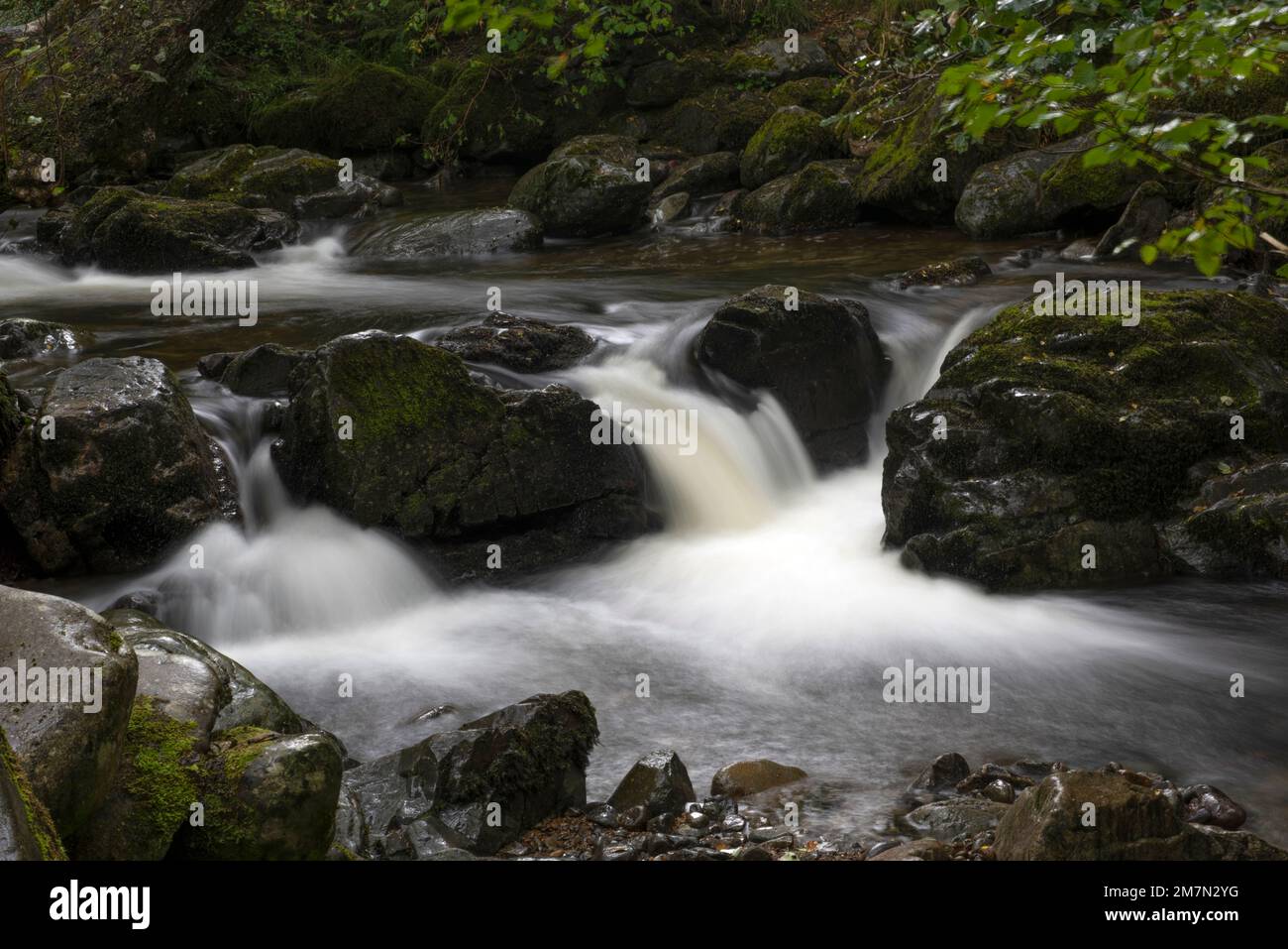 Long exposure at a small lake hi-res stock photography and images - Alamy