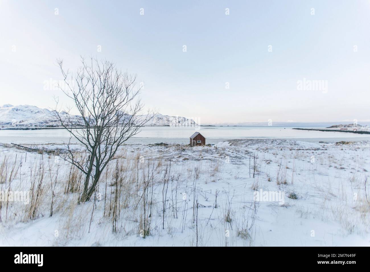 Lonely hut on the beach, Norway, winter landscape by the sea Stock Photo - Alamy
