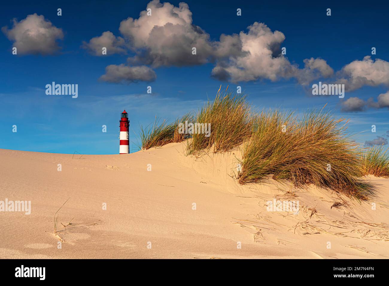 Dune impression, Amrum island Stock Photo - Alamy