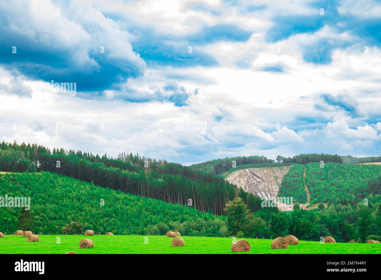 a field with bales of straw. forest in background. blue sky with cloud ...