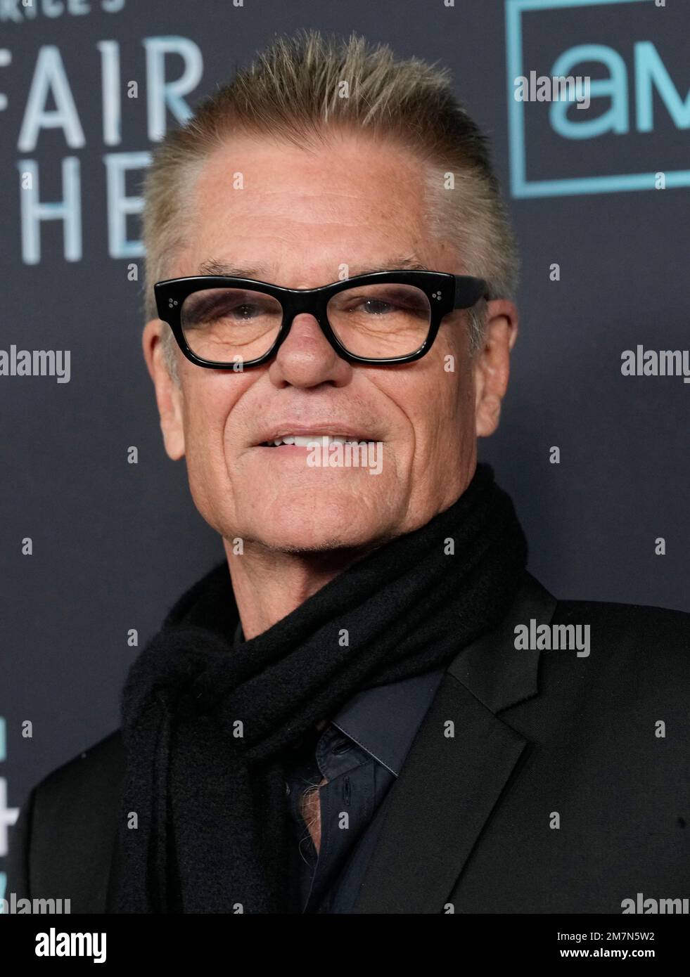 Harry Hamlin poses at the premiere of the AMC television series "Anne ...