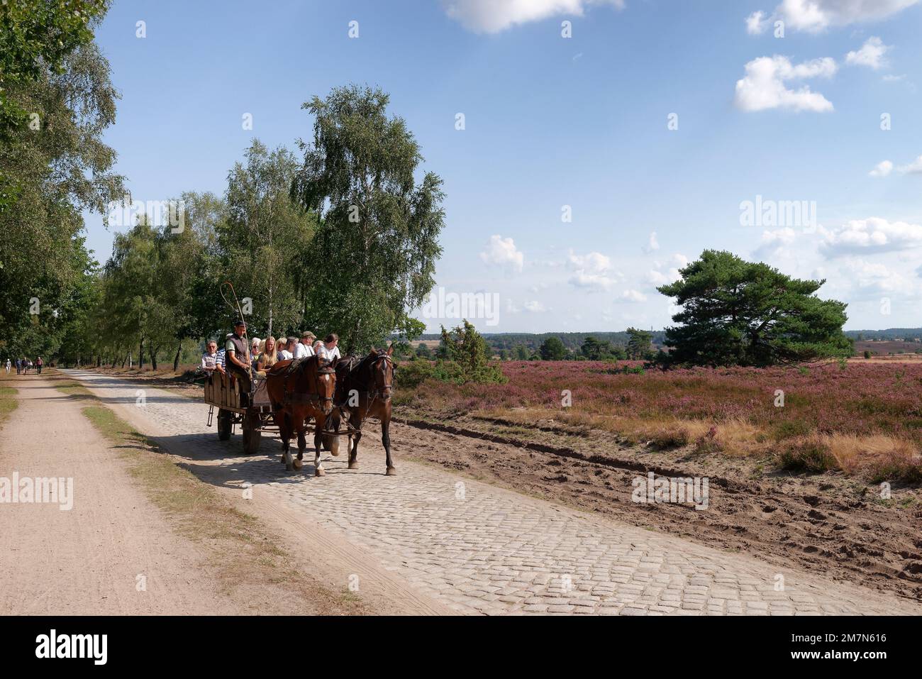 Carriage ride on hiking hi-res stock photography and images - Alamy