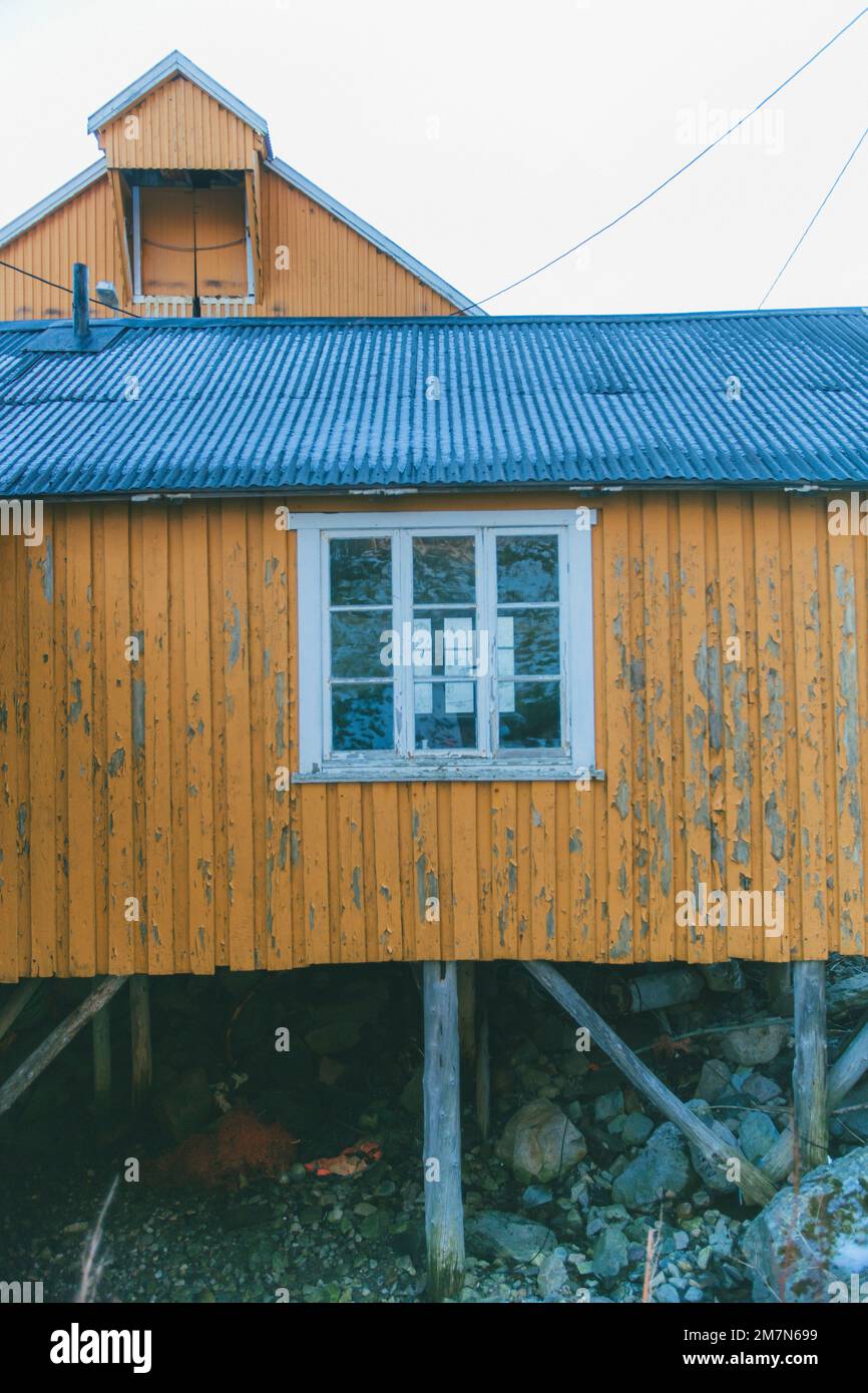Yellow fishing cottage in Nusfjord, fishing village, Lofoten, Nordland ...