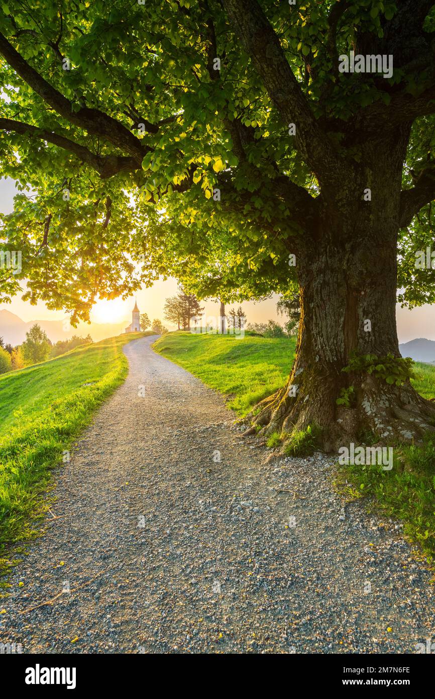 View of the iconic Jamnik church, with Mount Triglav on the background ...