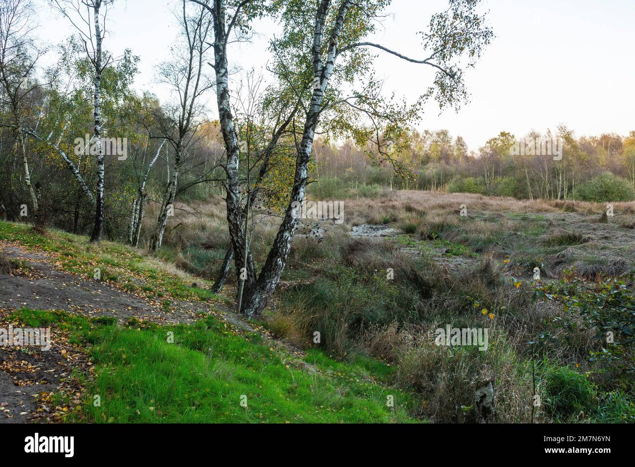 Germany, Vreden, Berkel, Westmünsterland, Münsterland, Westphalia, North Rhine-Westphalia ...