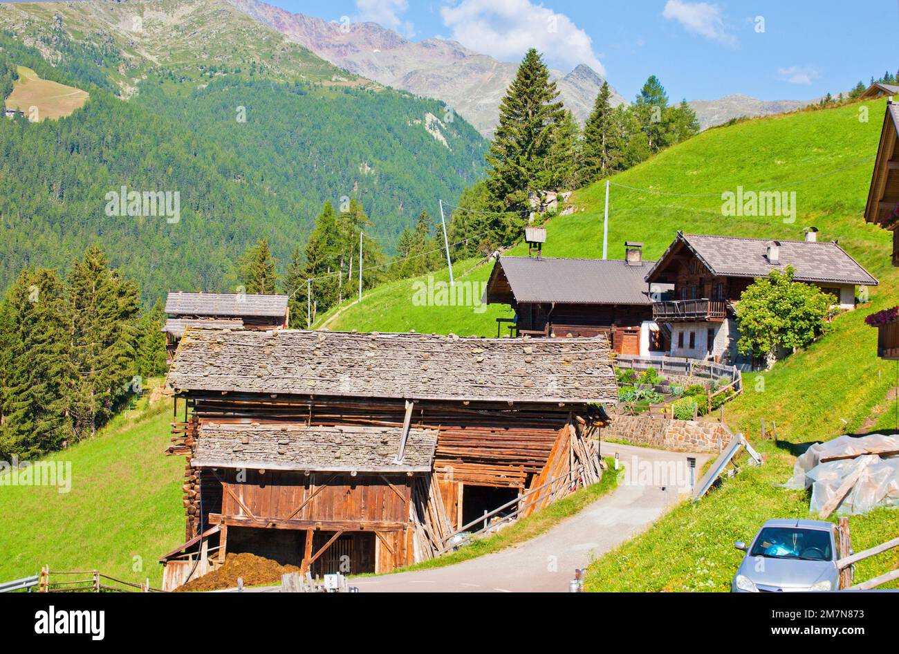 Group of farms on a steep slope in the South Tyrolean Ulten Valley ...