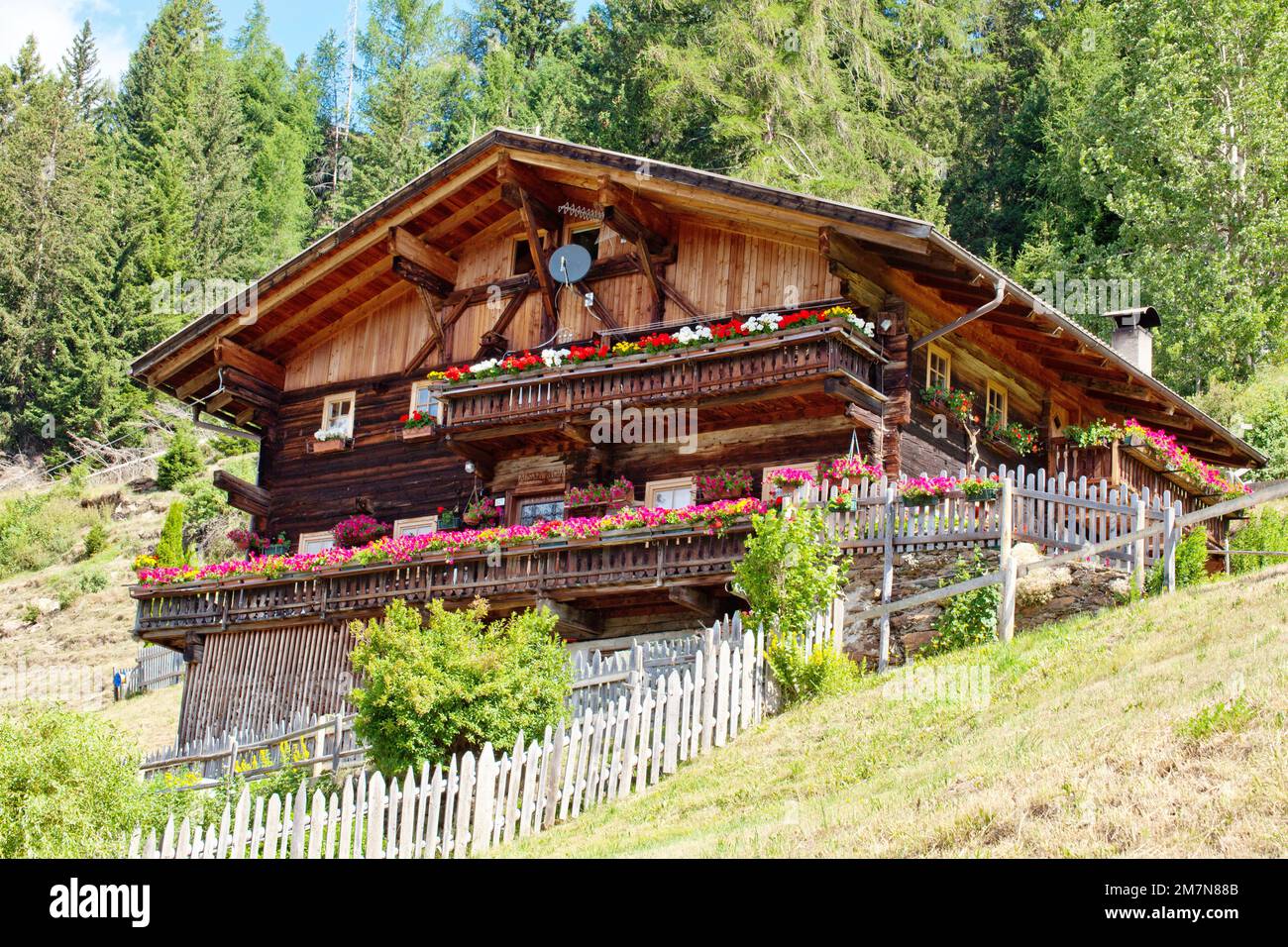 South Tyrolean farmhouse on steep slope at the edge of the forest Stock ...