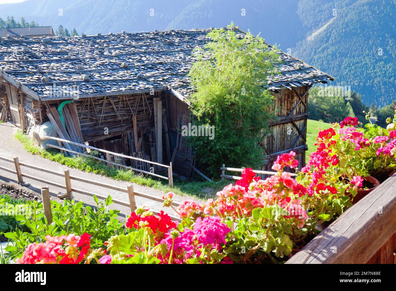 View over the balcony flowers to the barn in South Tyrol Ulten Valley ...