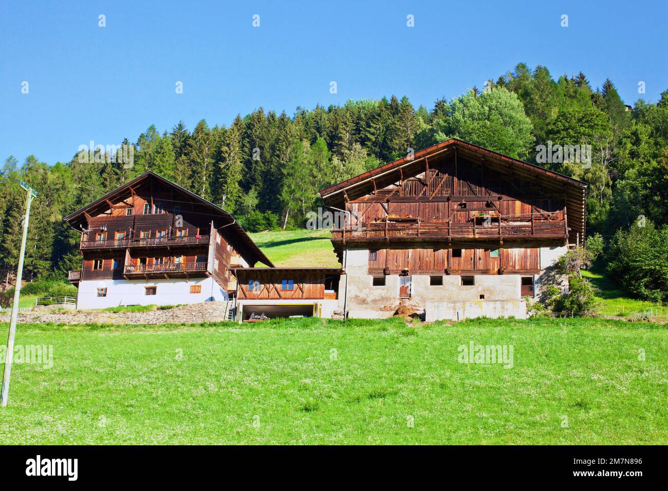 South Tyrolean farmhouse with barn on steep slope at the edge of the ...