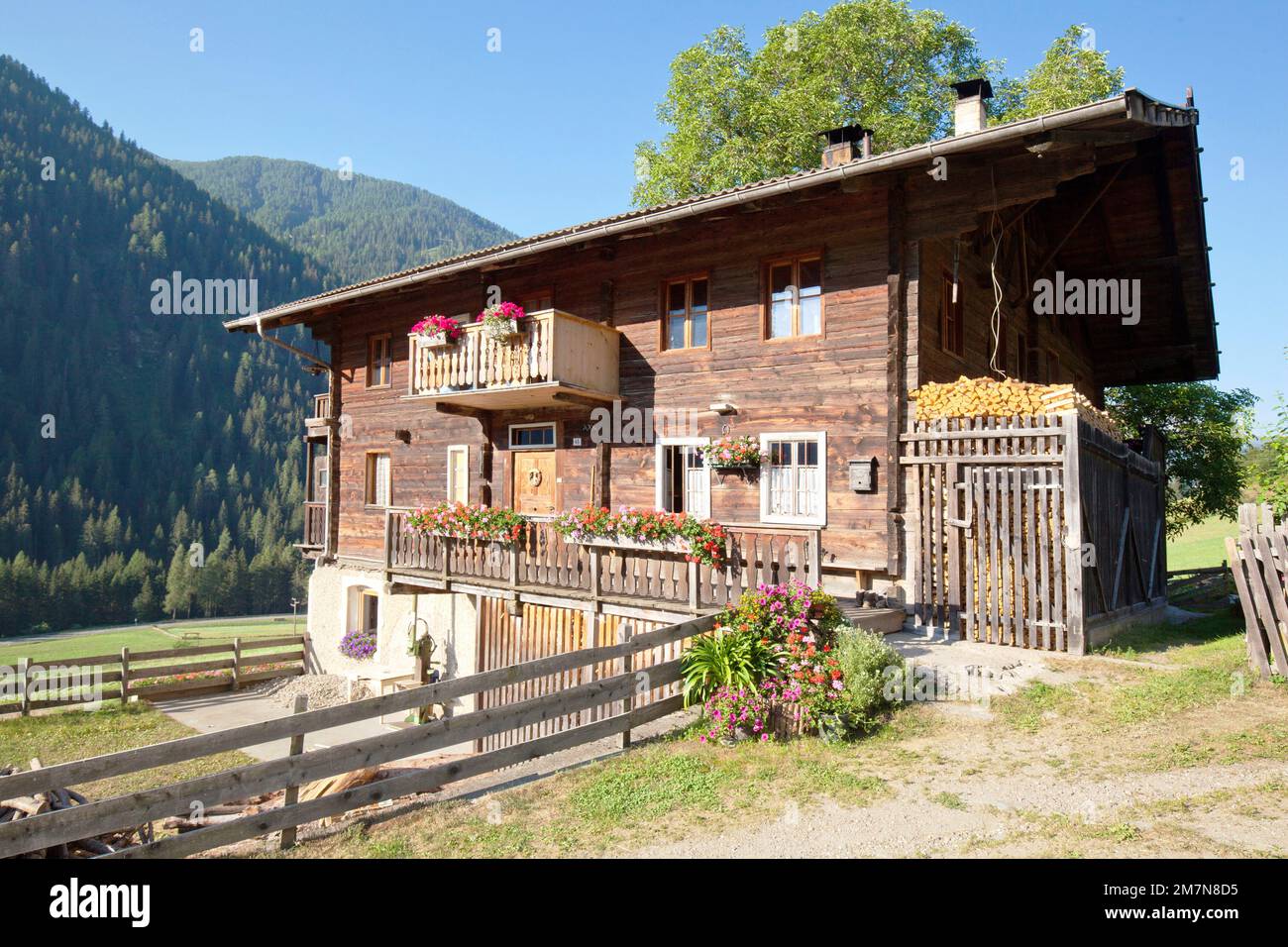South Tyrolean farm in Val d'Ultimo Stock Photo - Alamy