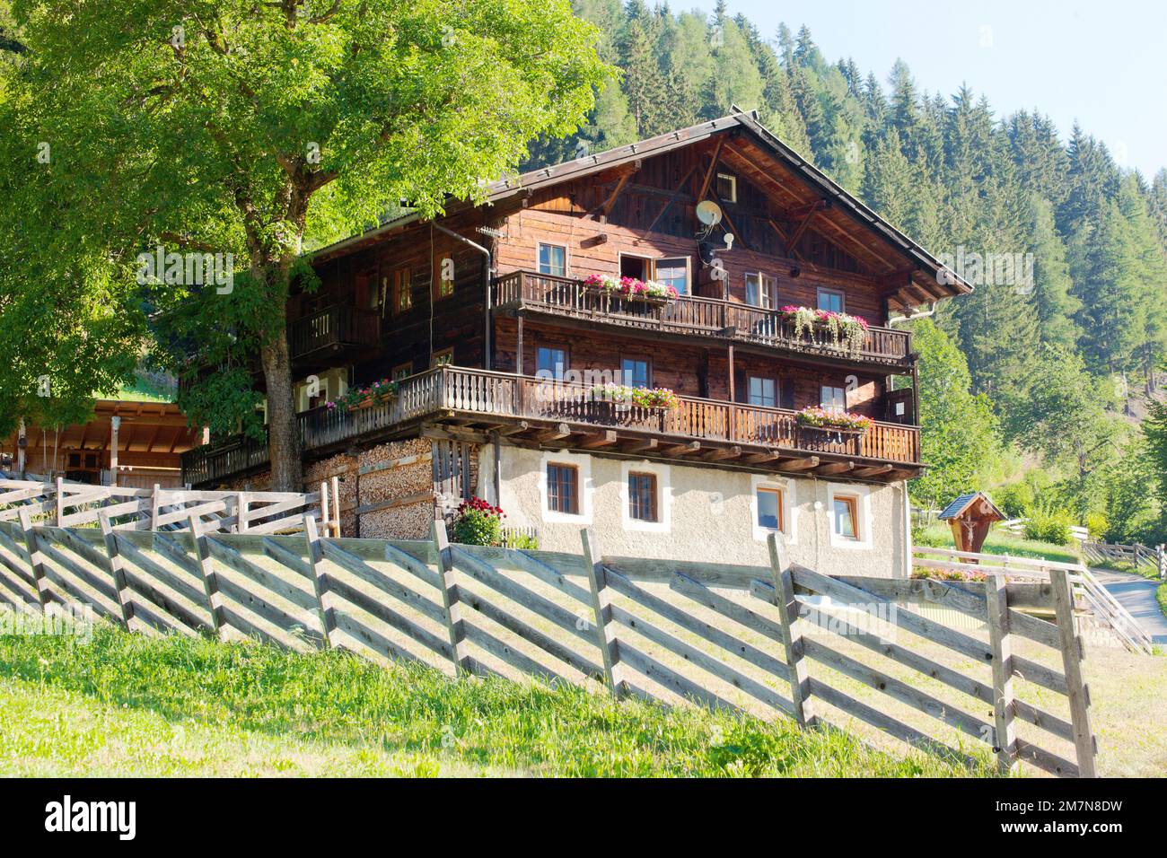 South Tyrolean farmhouse on steep slope at the edge of the forest Stock ...