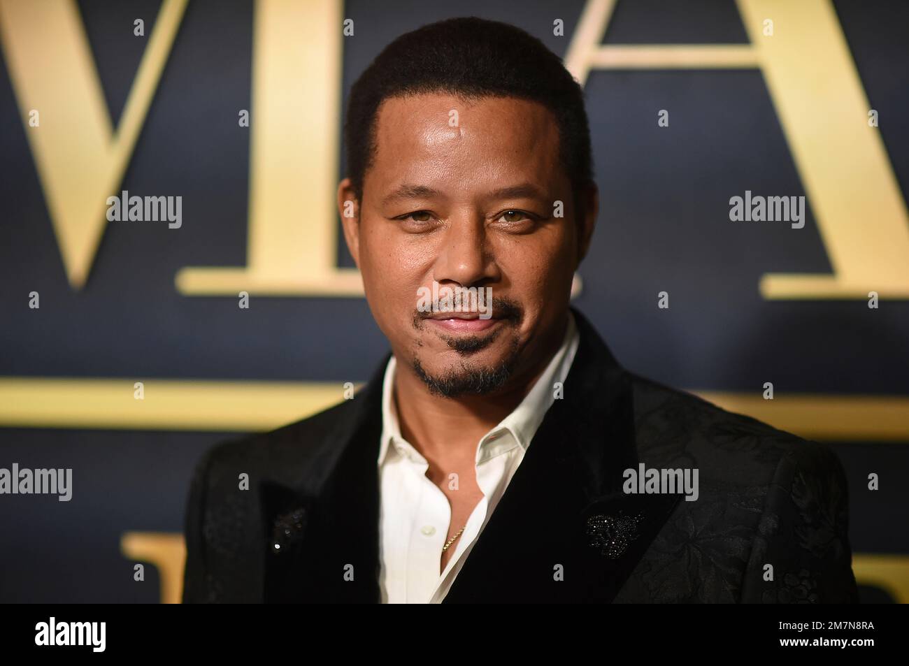 Terrence Howard arrives at the premiere of "The Best Man: The Final ...