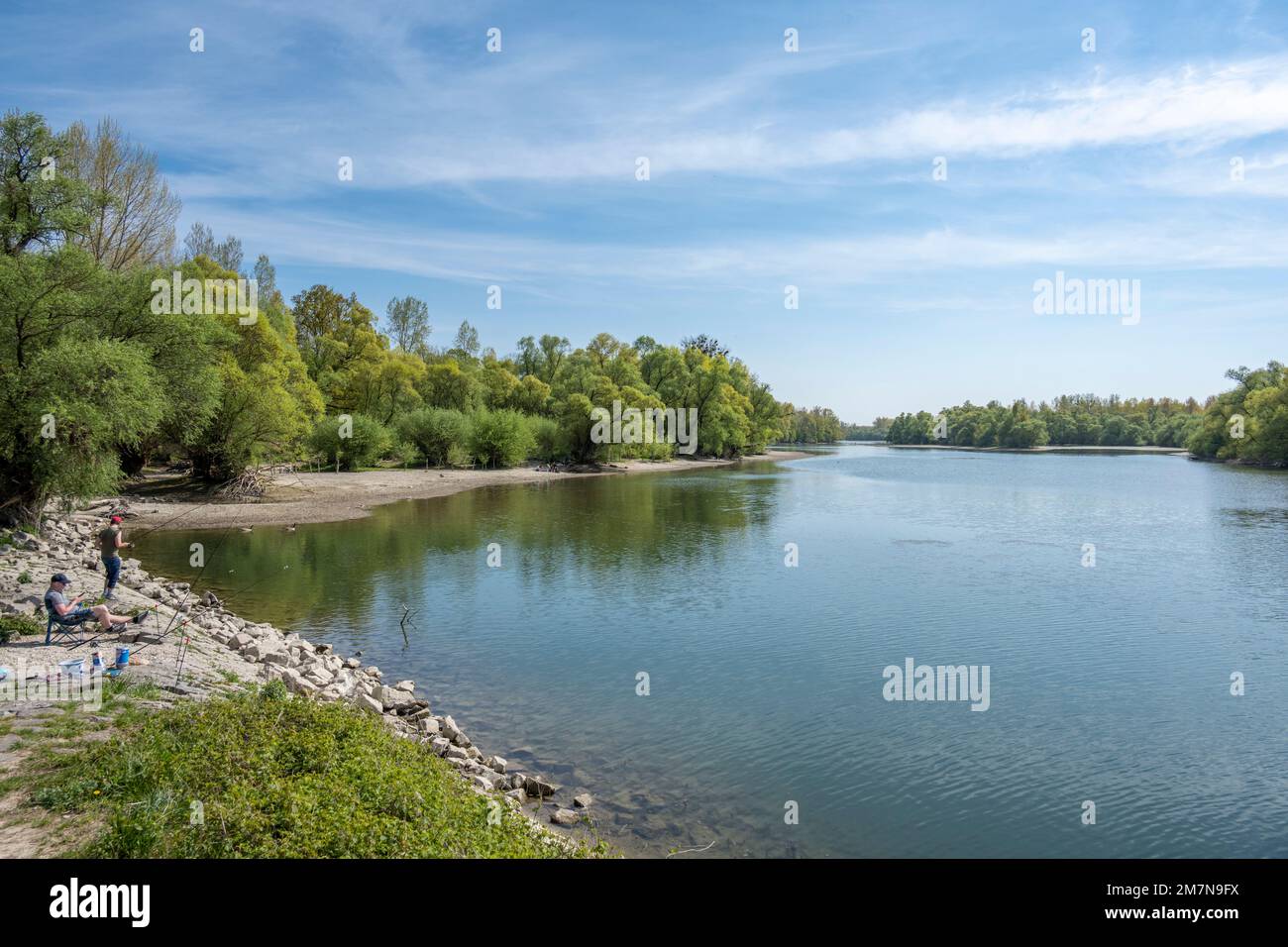 Germany, Baden-Württemberg, Altrheinarm near Au am Rhein Stock Photo ...