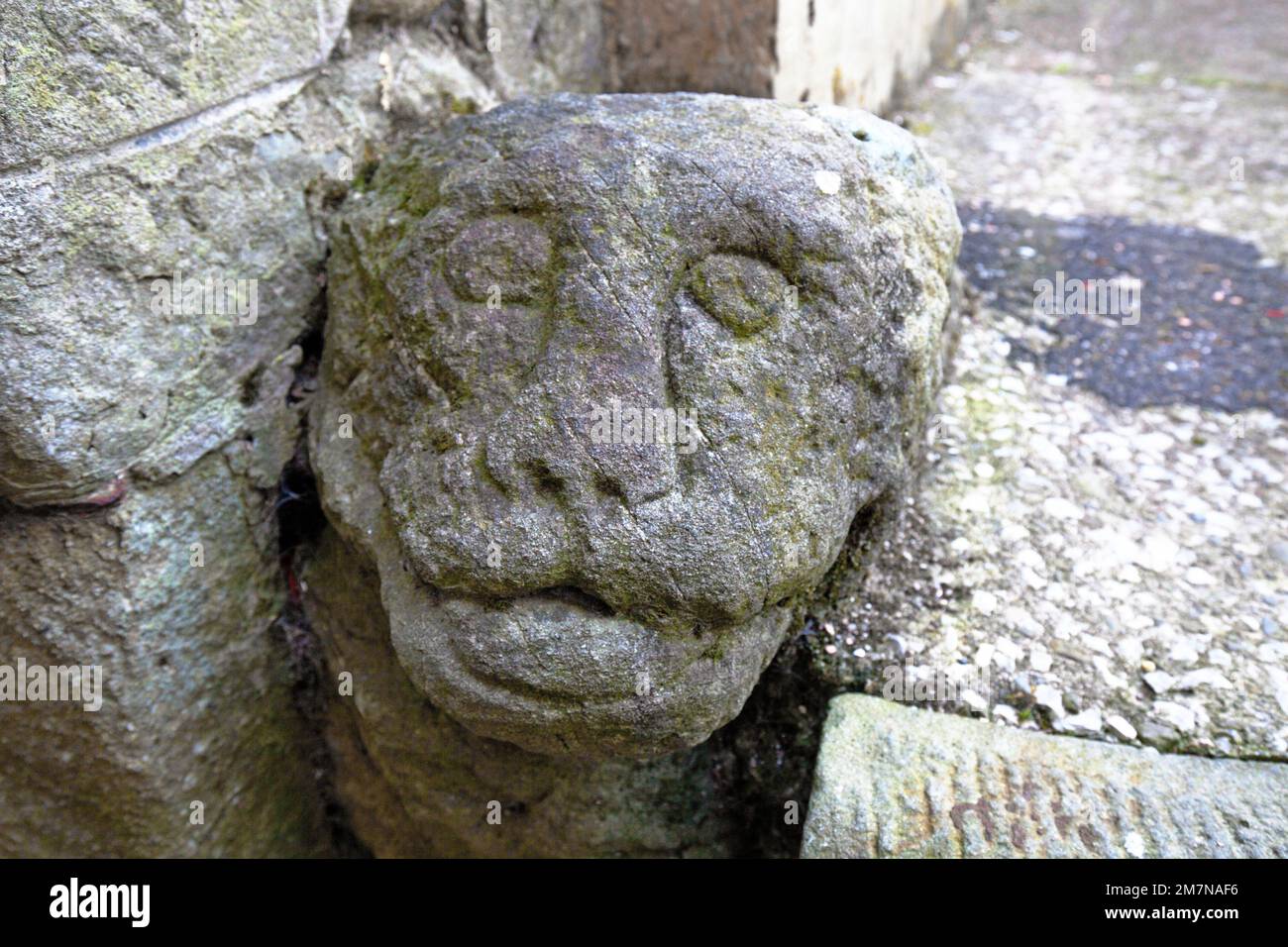 stone mythical creature in gutter, Bagnone, Western Tuscany Stock Photo ...