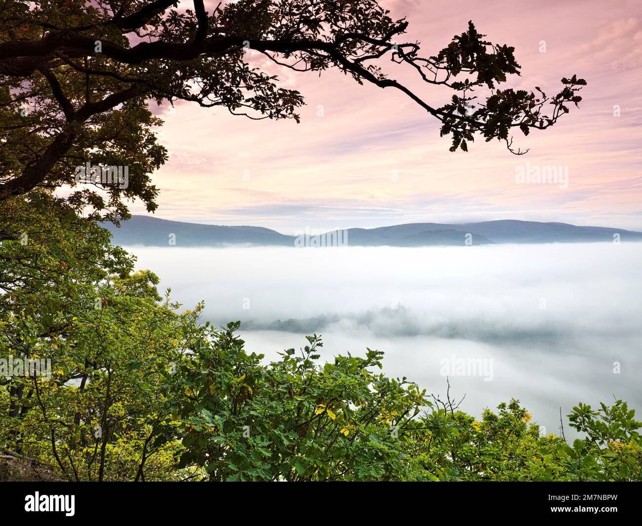 Europe, Germany, Hesse, North Hesse, Waldecker Land, Kellerwald-Edersee ...