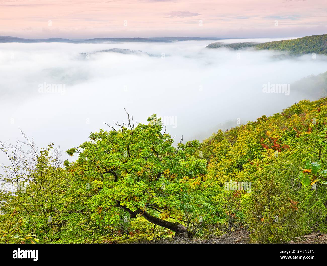 Europe, Germany, Hesse, North Hesse, Waldecker Land, Kellerwald-Edersee ...