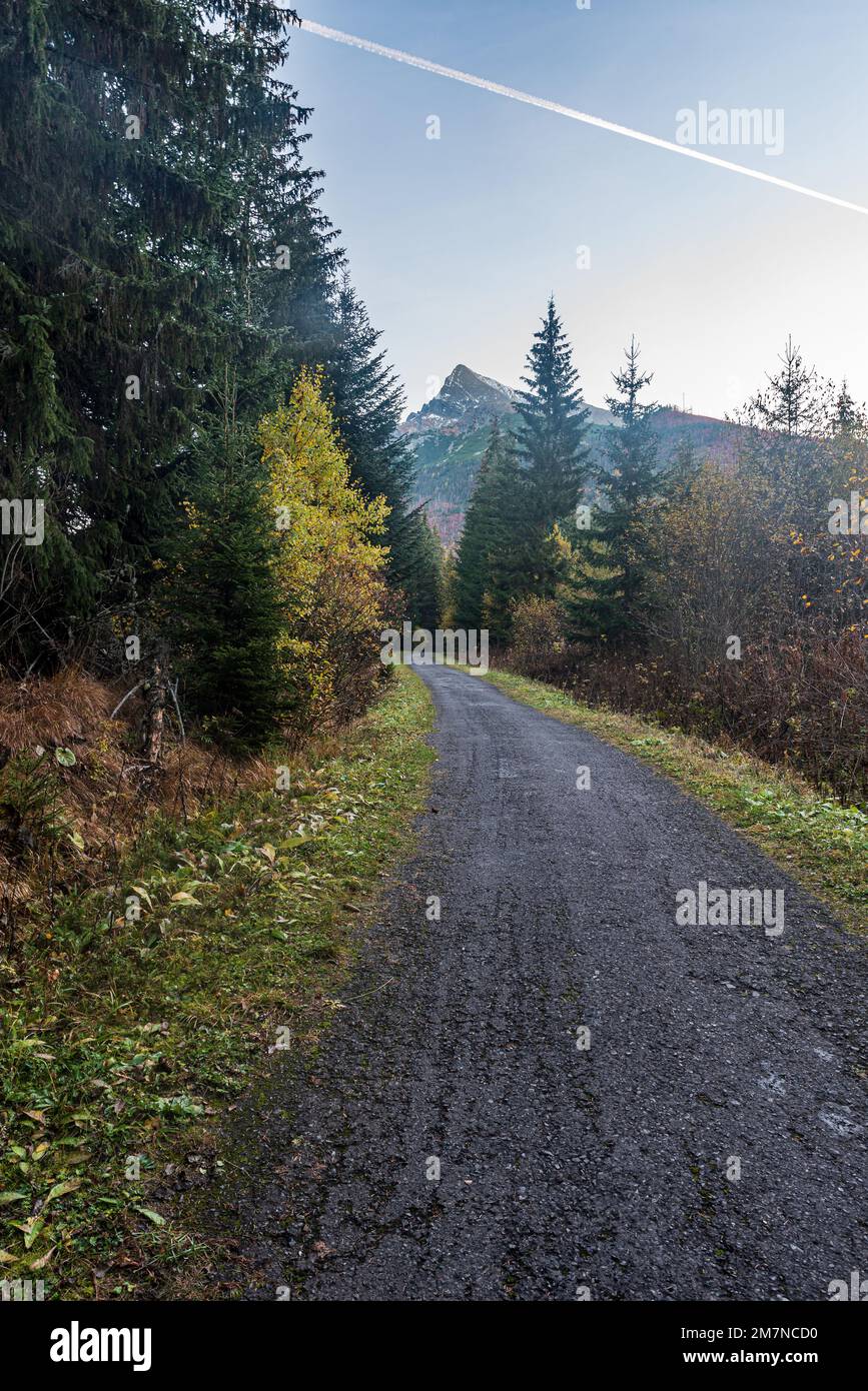 Krivan mountain peak from Koprova dolina valley in High Tatras ...