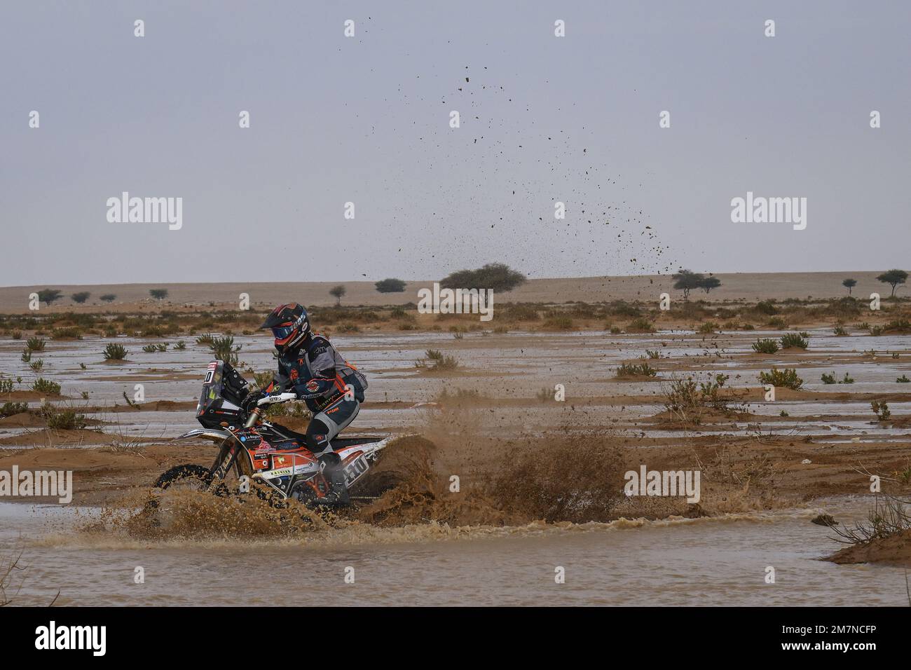 Haradh, Saudi Arabia - January 10th, 2023, 110 PEYRARD Pierre (fra ...