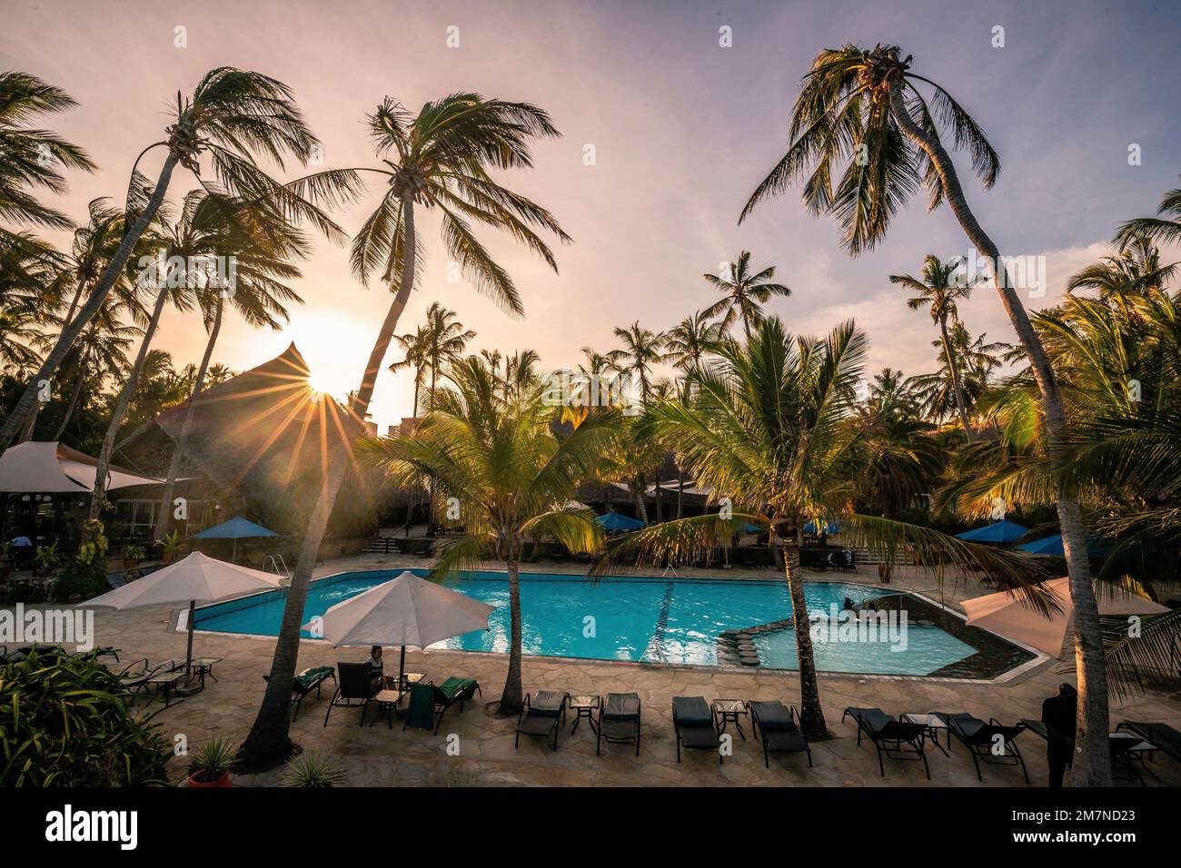 African hotel, view over a pool with palm trees, Kenya, Africa Stock ...
