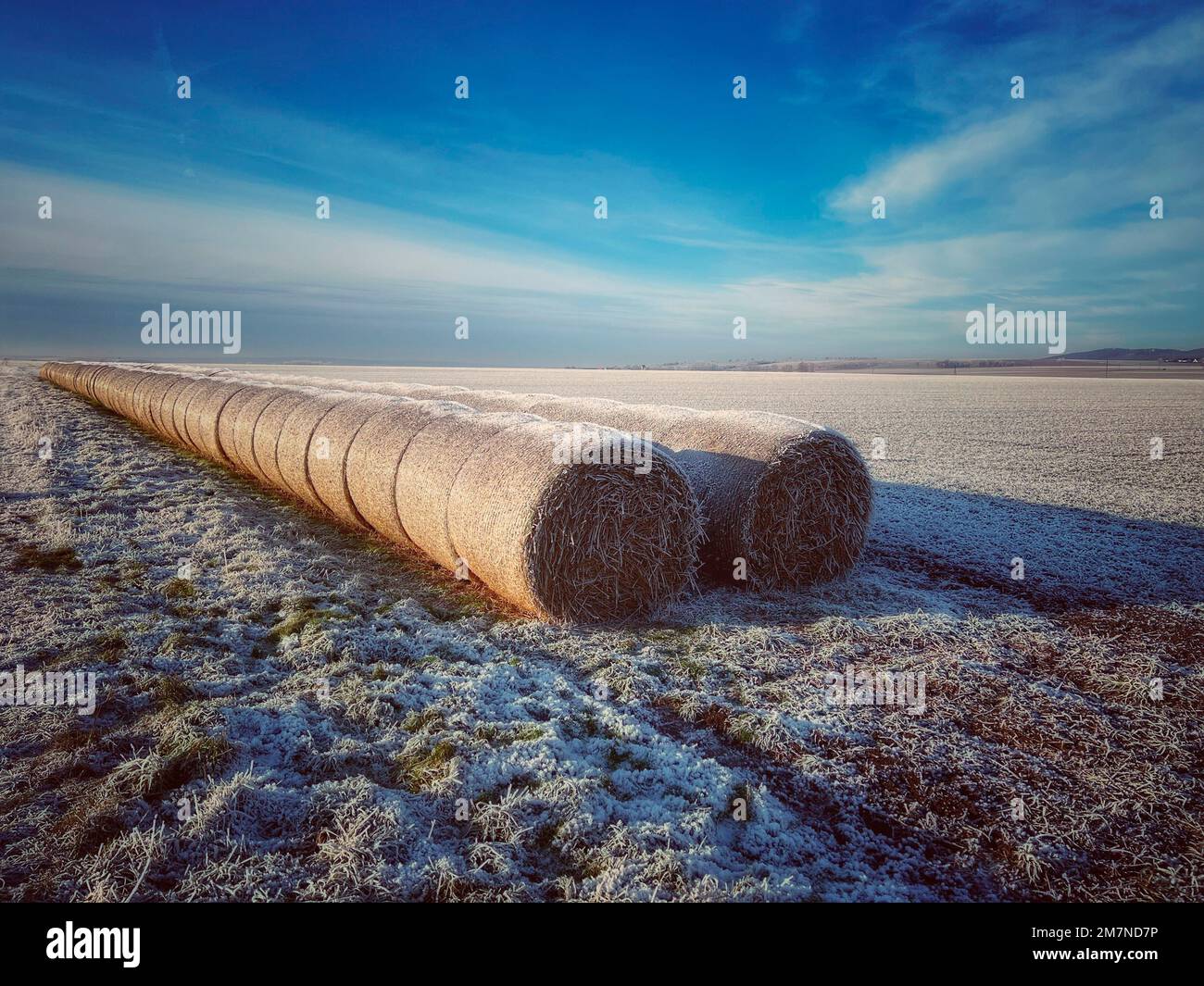 Frosty atmosphere hi-res stock photography and images - Alamy