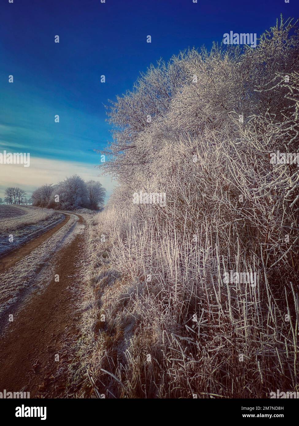 Cold harmony hi-res stock photography and images - Alamy