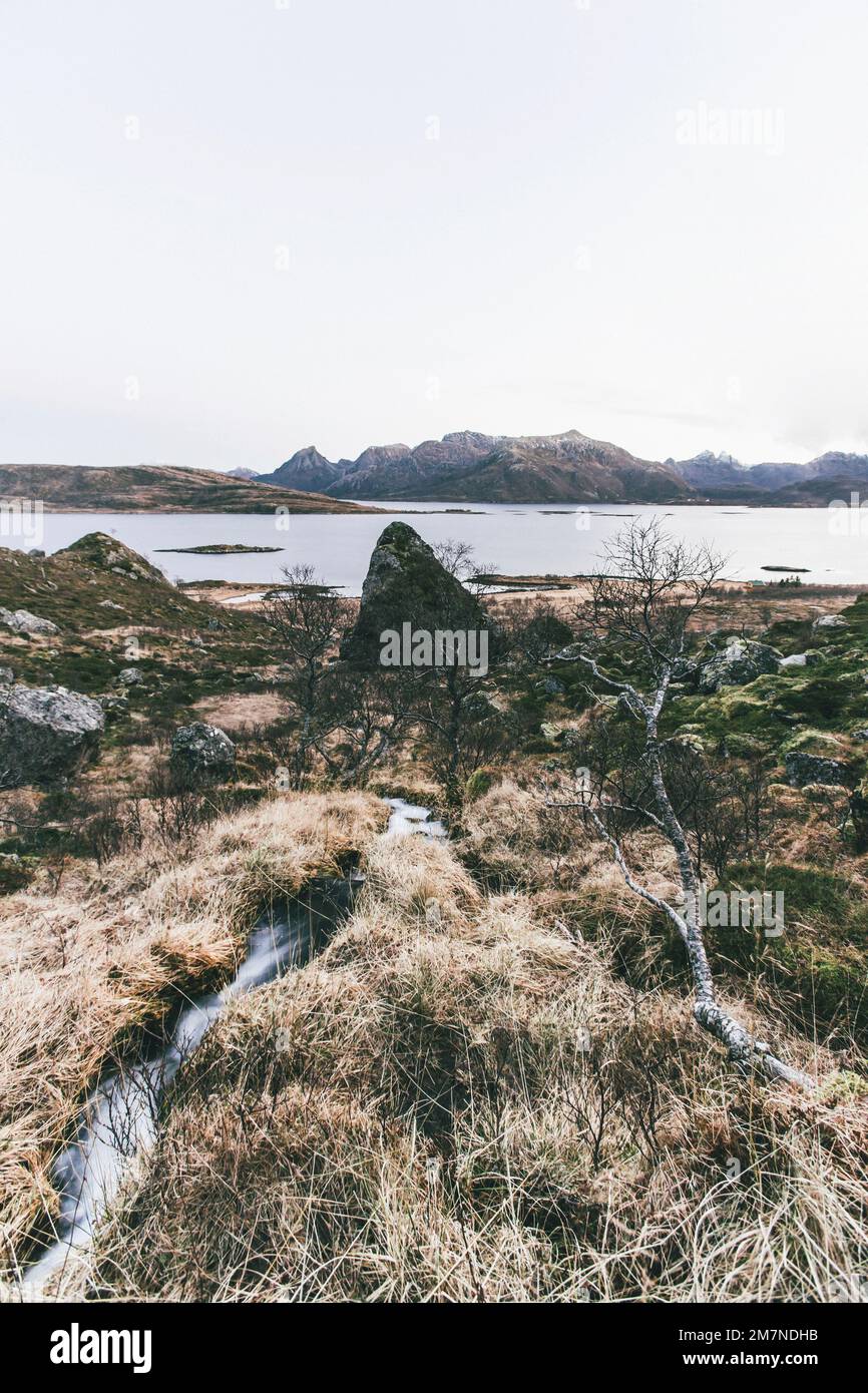 Stream to the sea, fjord landscape in autumn in Vesteralen, Norway ...