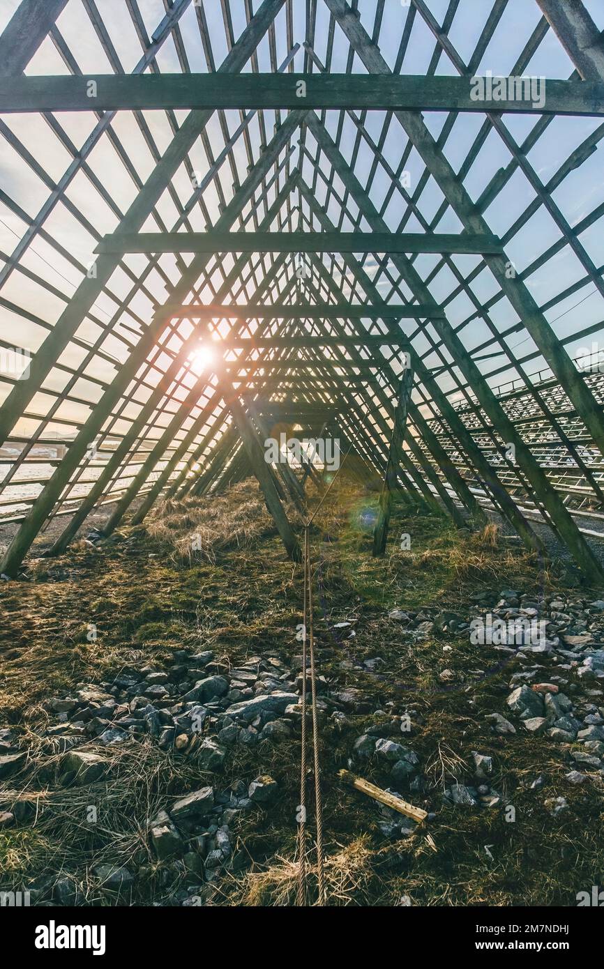 Wooden fish drying rack in the fjord at sunset, racks for drying cod ...